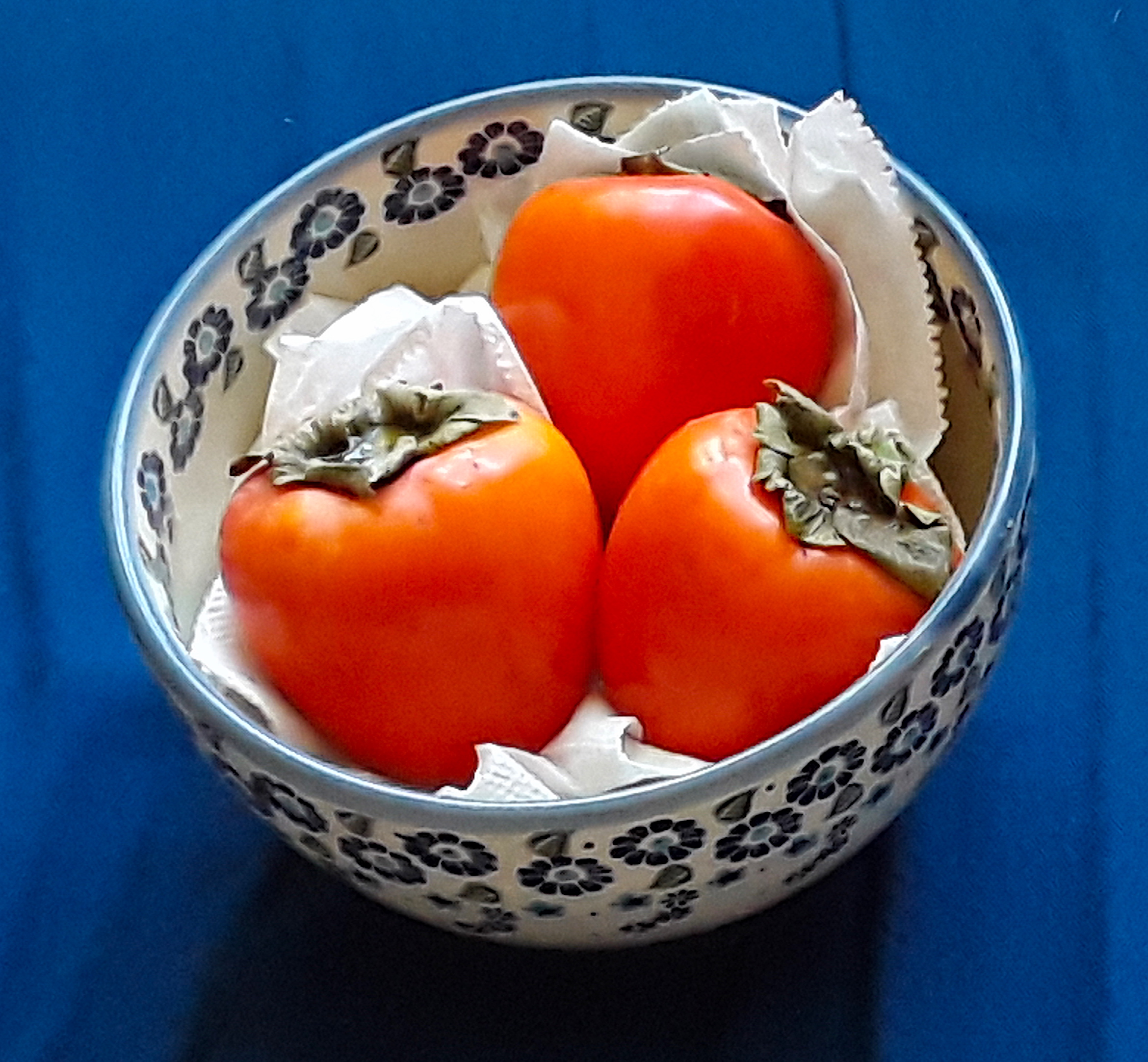 Persimmons in Winter – Word Dancer: Literature, the Arts, & Education