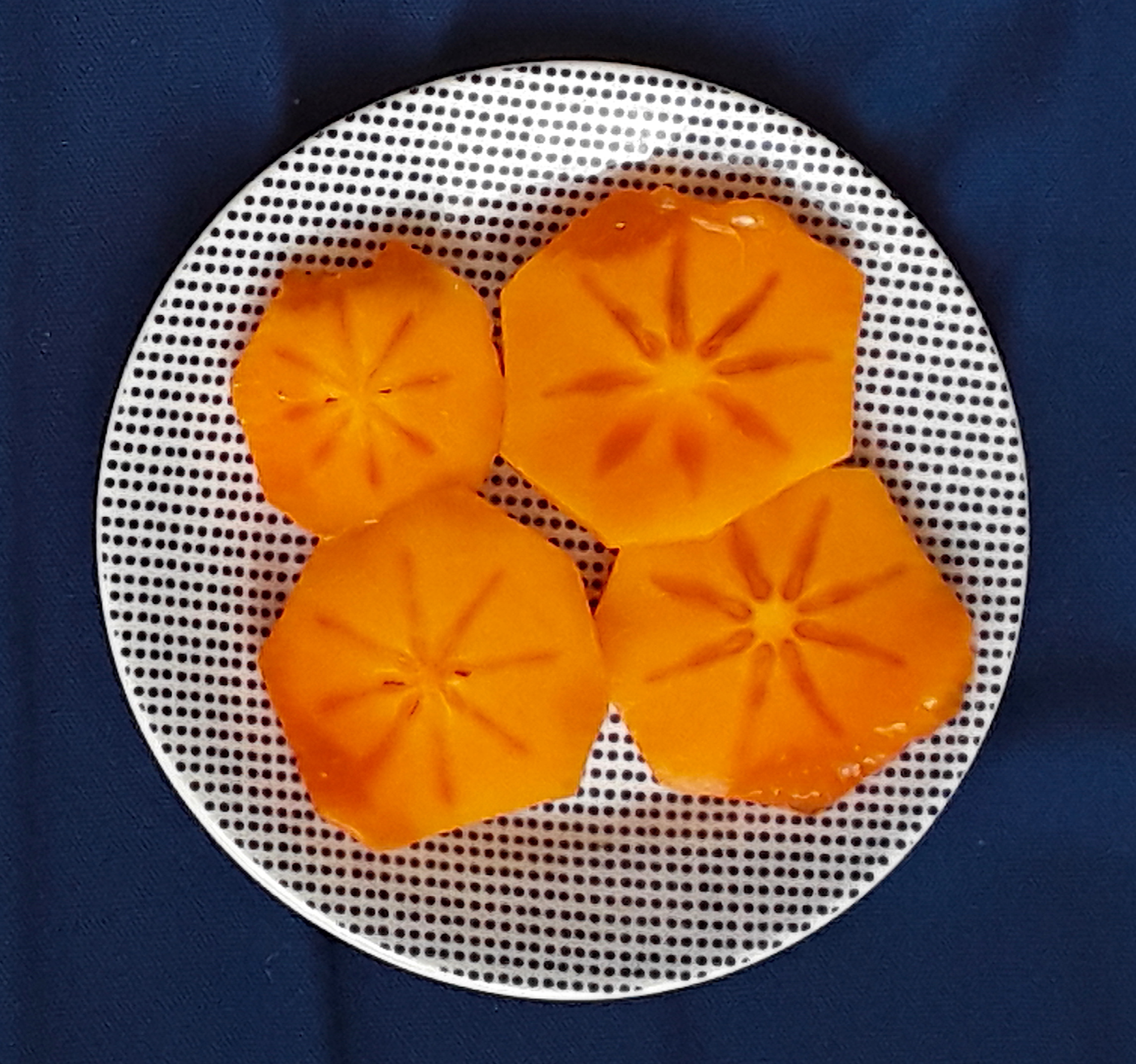 Persimmons in Winter – Word Dancer: Literature, the Arts, & Education