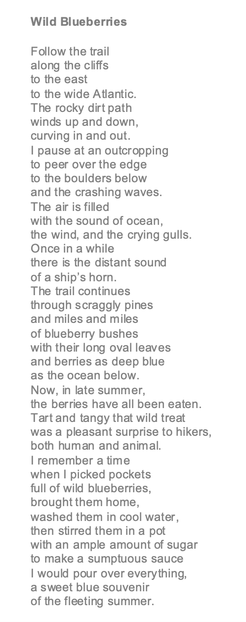 Journey to the Land of Wild Blueberries – Word Dancer: Literature, the ...