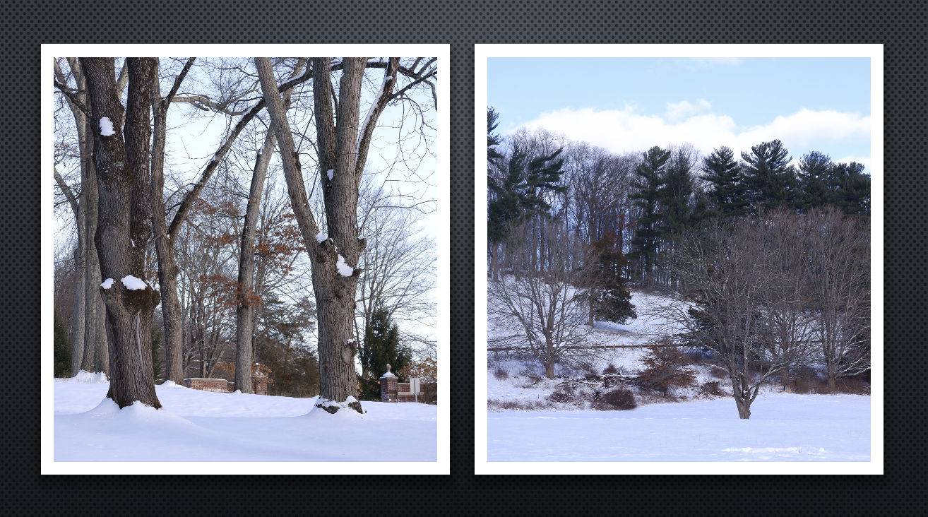February Snow – Word Dancer: Literature, the Arts, & Education