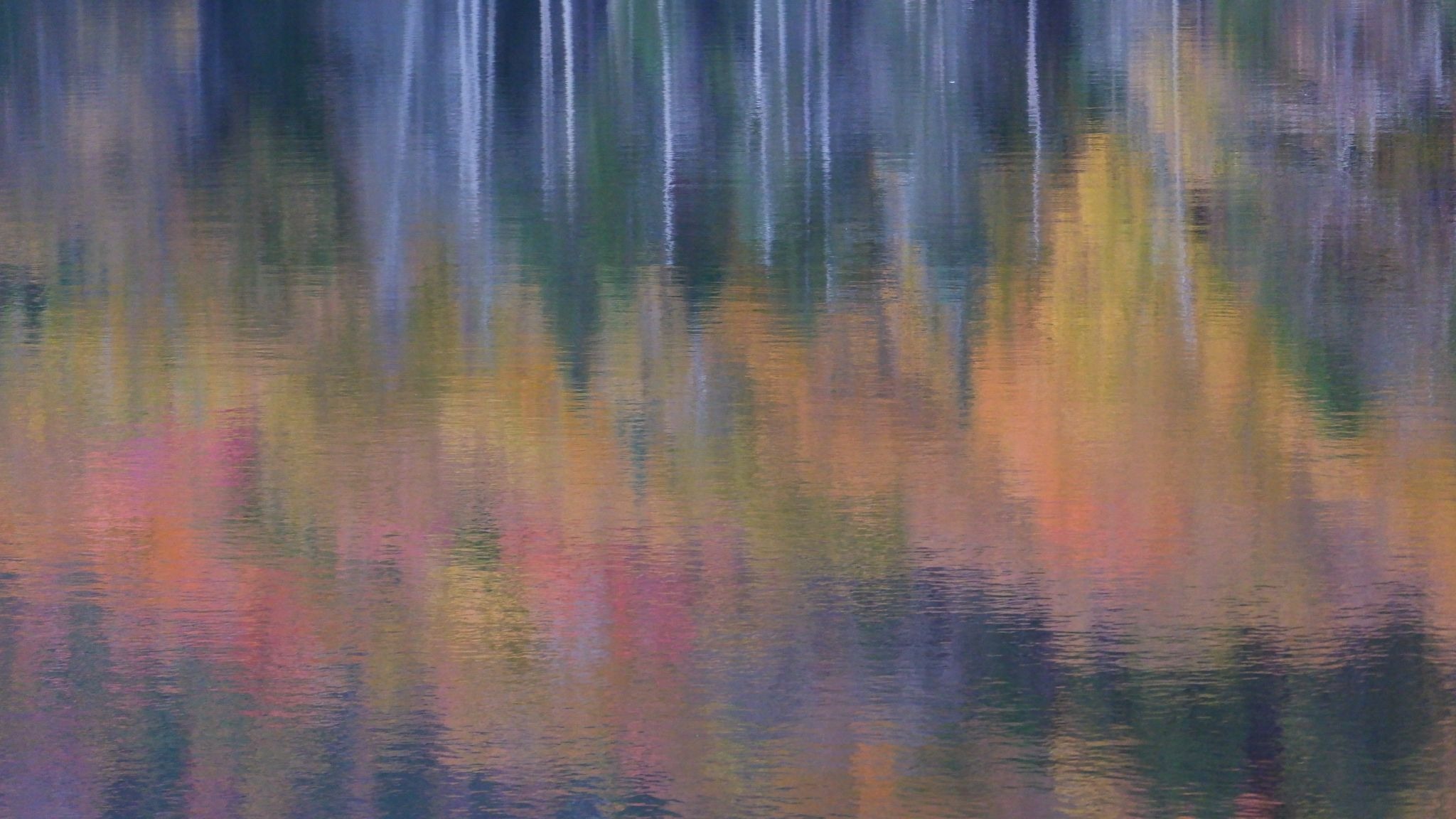Moving into Autumn – Word Dancer: Literature, the Arts, & Education