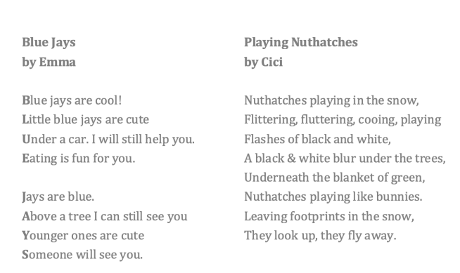 Taking Wing: Bird Research & Poetry in 2nd Grade – Word Dancer ...