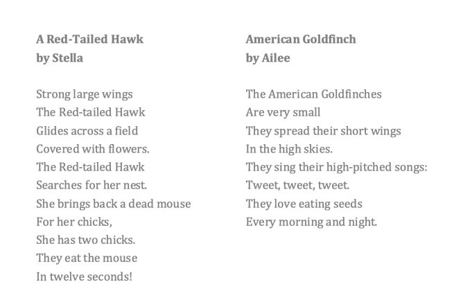 Taking Wing: Bird Research & Poetry in 2nd Grade – Word Dancer ...